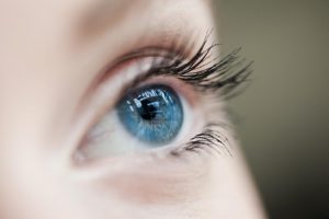 All you should know about eyelashes: eyelash structure, functions and ...